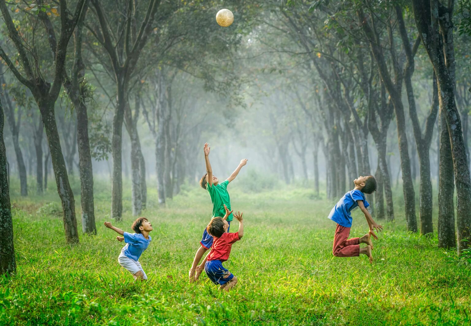 Enhanced STARS Training (Upcoming Classes) – Child Care Action Council